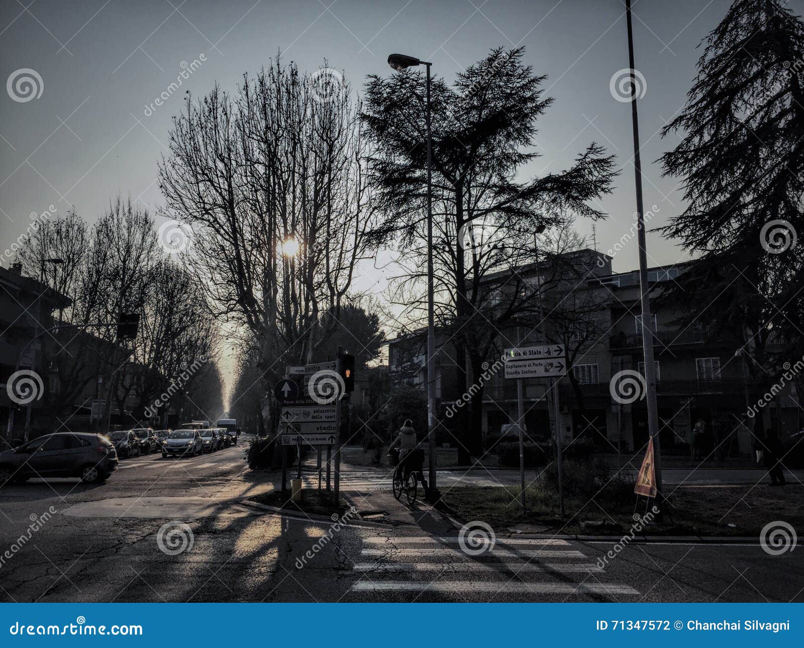 Rimini Winter stock photo. Image of travel, tree, winter - 71347572