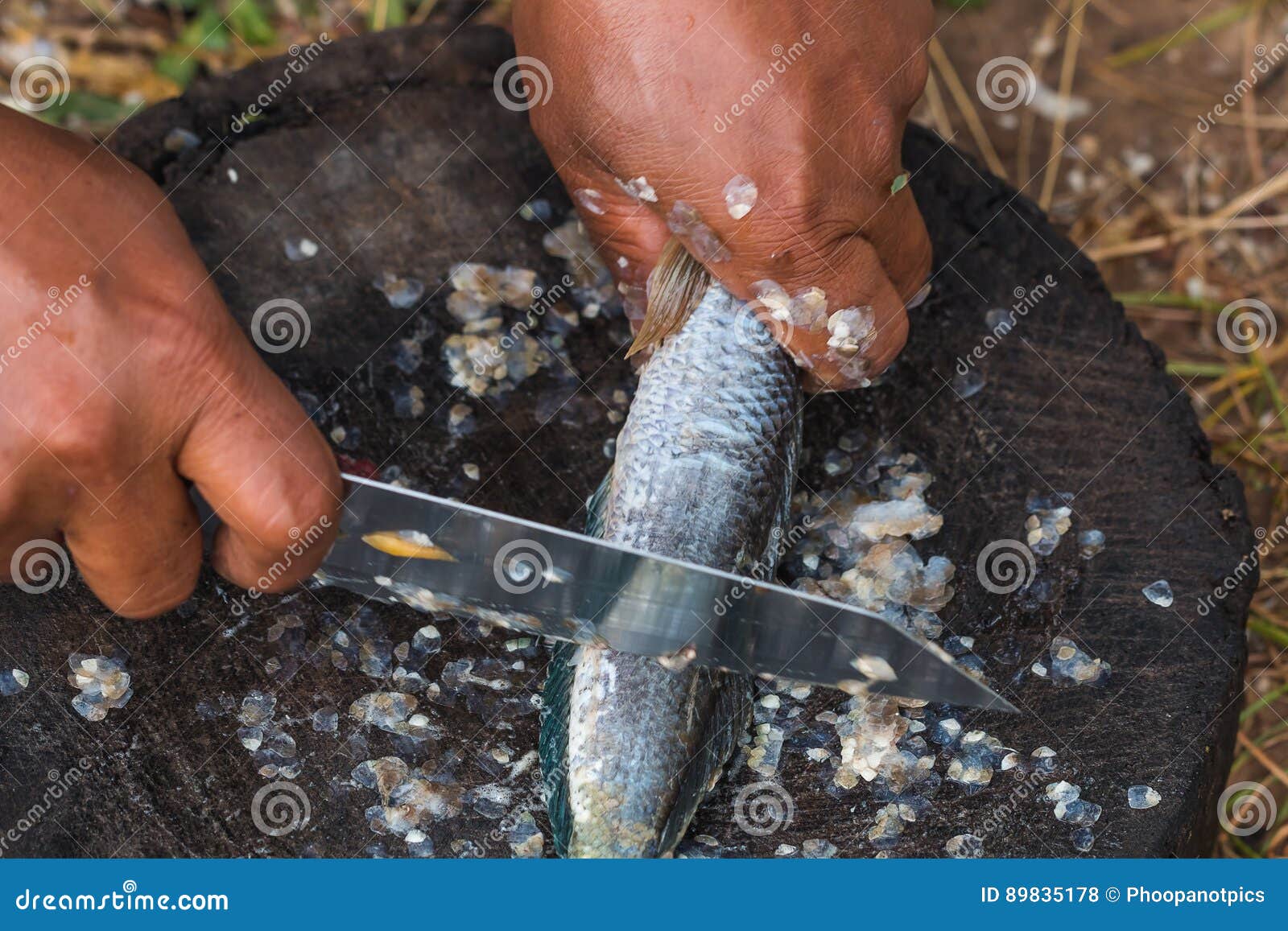 Rimuova la squama fotografia stock. Immagine di mare - 89835178