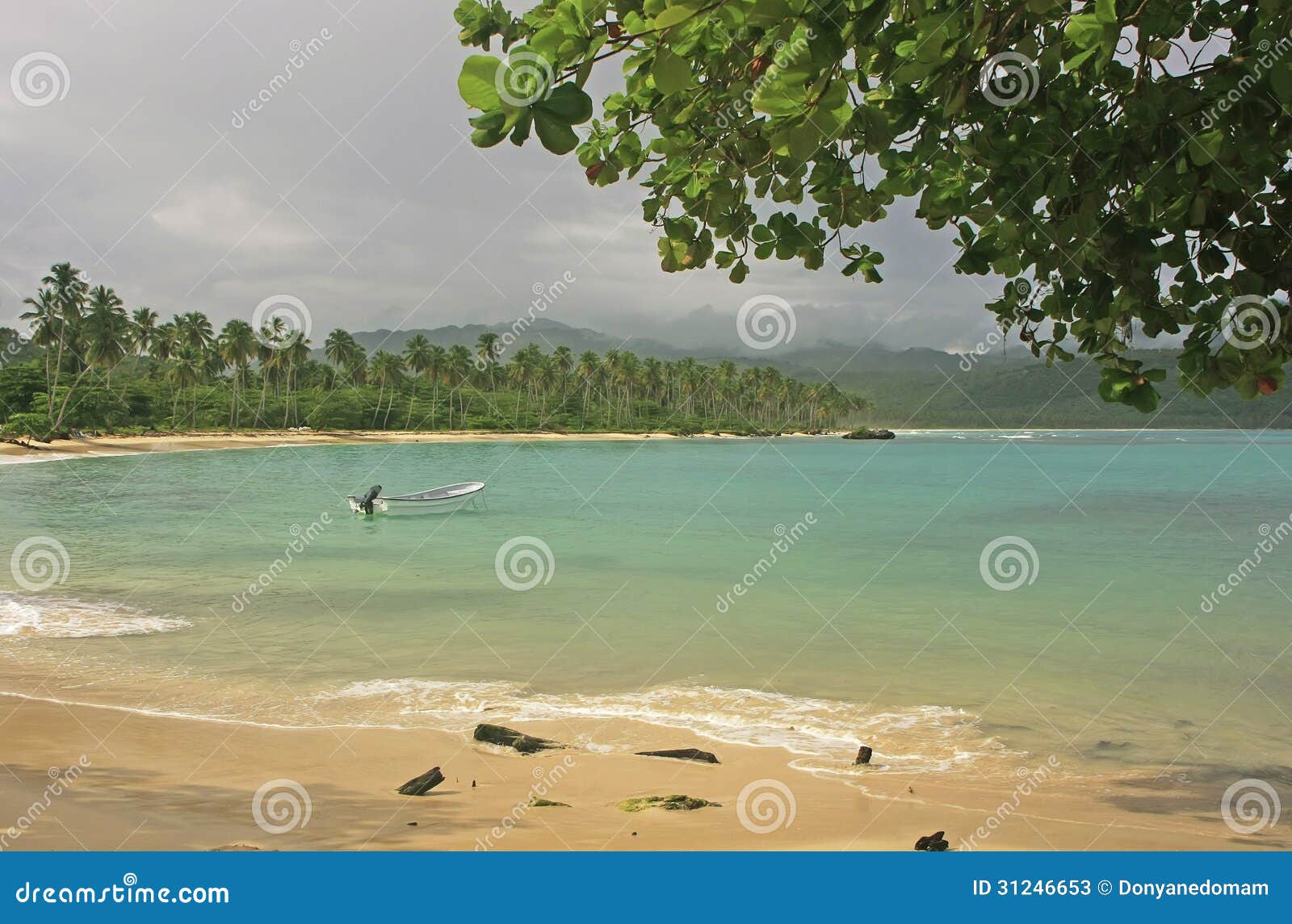 Rincon Beach, Samana Peninsula Stock Image - Image of dominican, nature ...