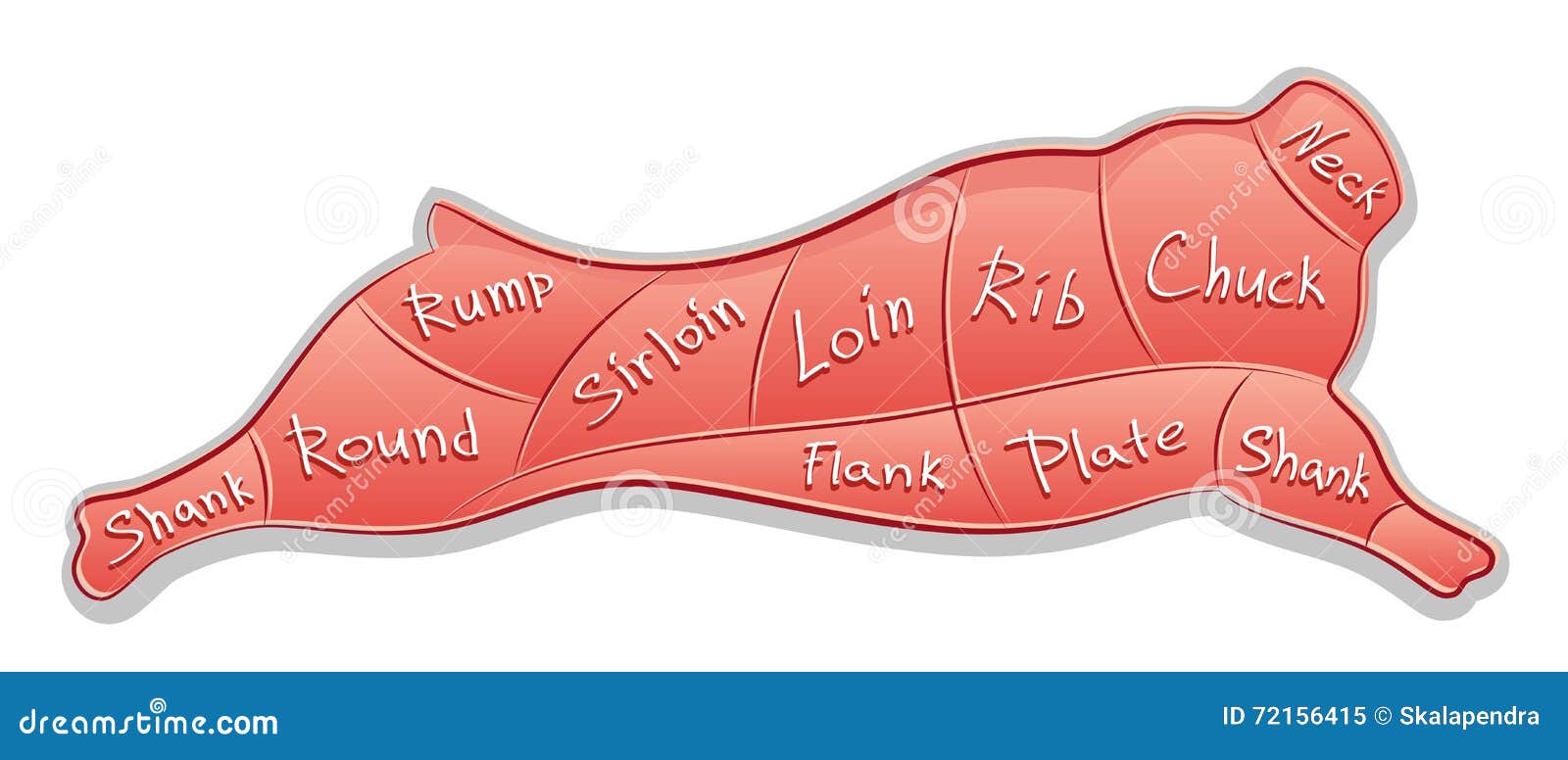 Rindfleischausschnitt vektor abbildung. Illustration von auslegung ...