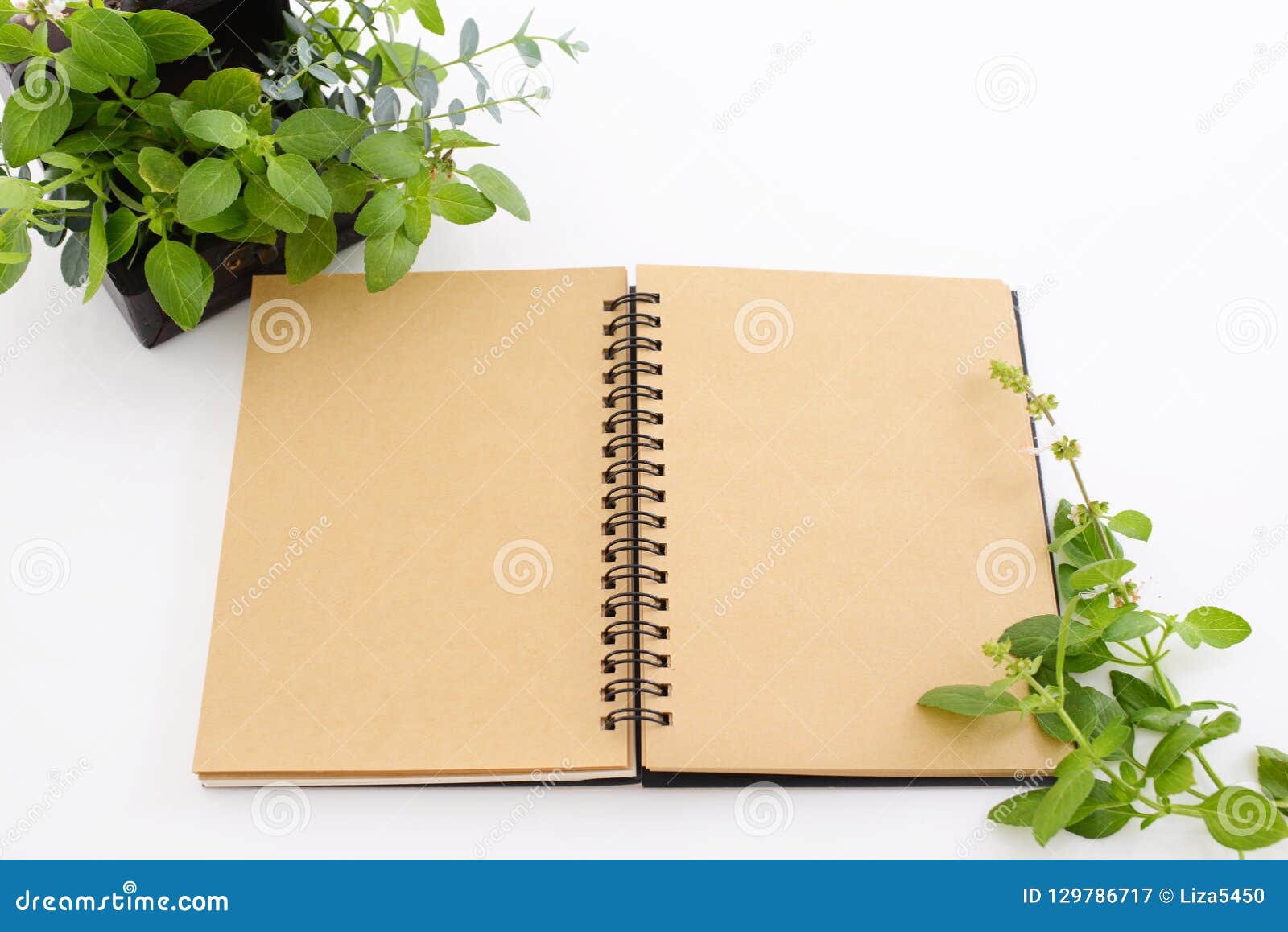 Ring binder book stock image. Image of handy, modern - 129786717