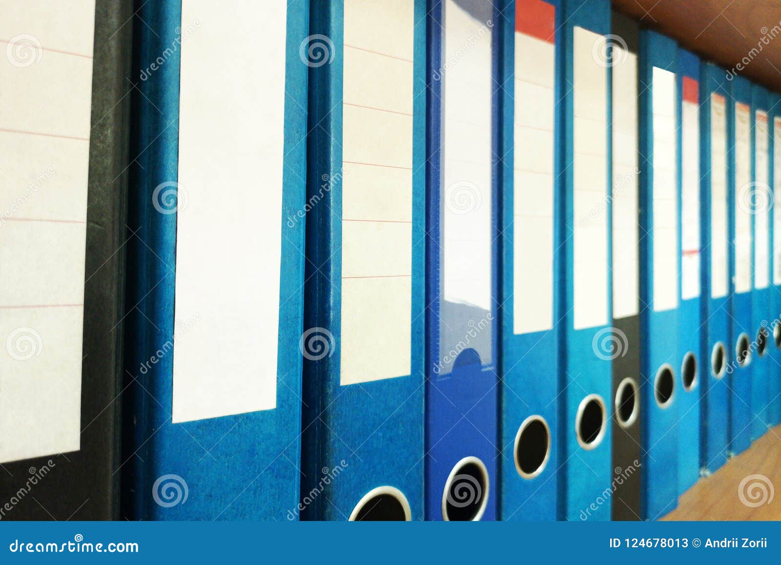 Ring Binders. Document Organization Stock Image - Image of organize ...
