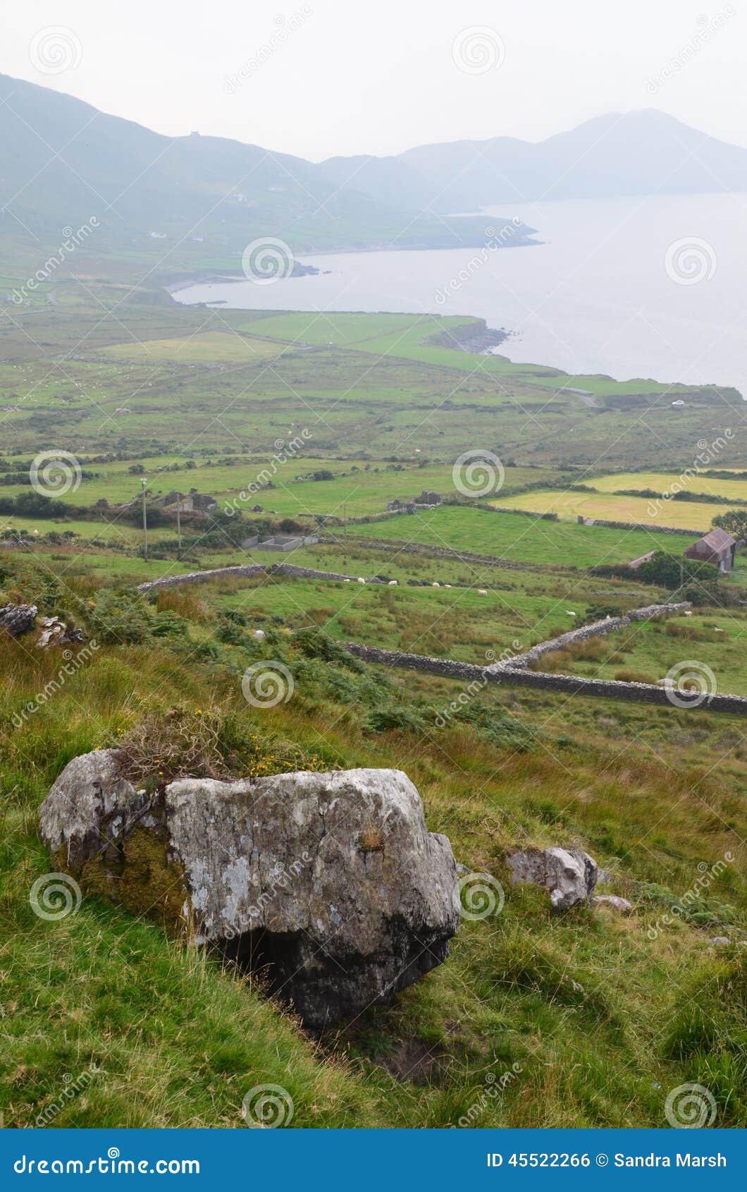 Royalty Free Images, Cartoons, Illustrations And Photos Designed By ...