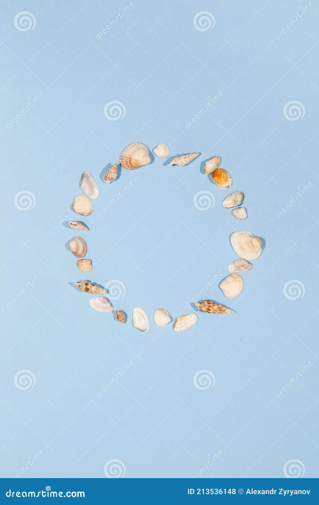Ring Made of Shells and Sea Stones Stock Photo - Image of nature, ocean ...
