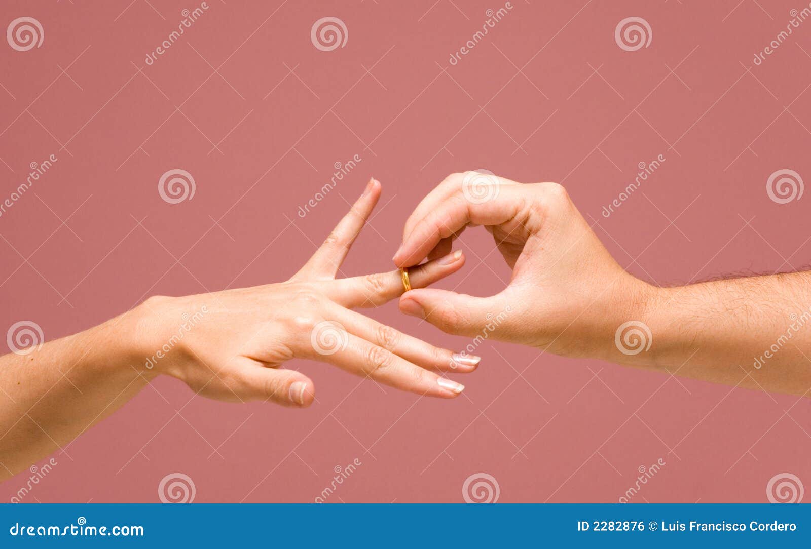 The ring + PATH stock photo. Image of bride, design, fiancee - 2282876