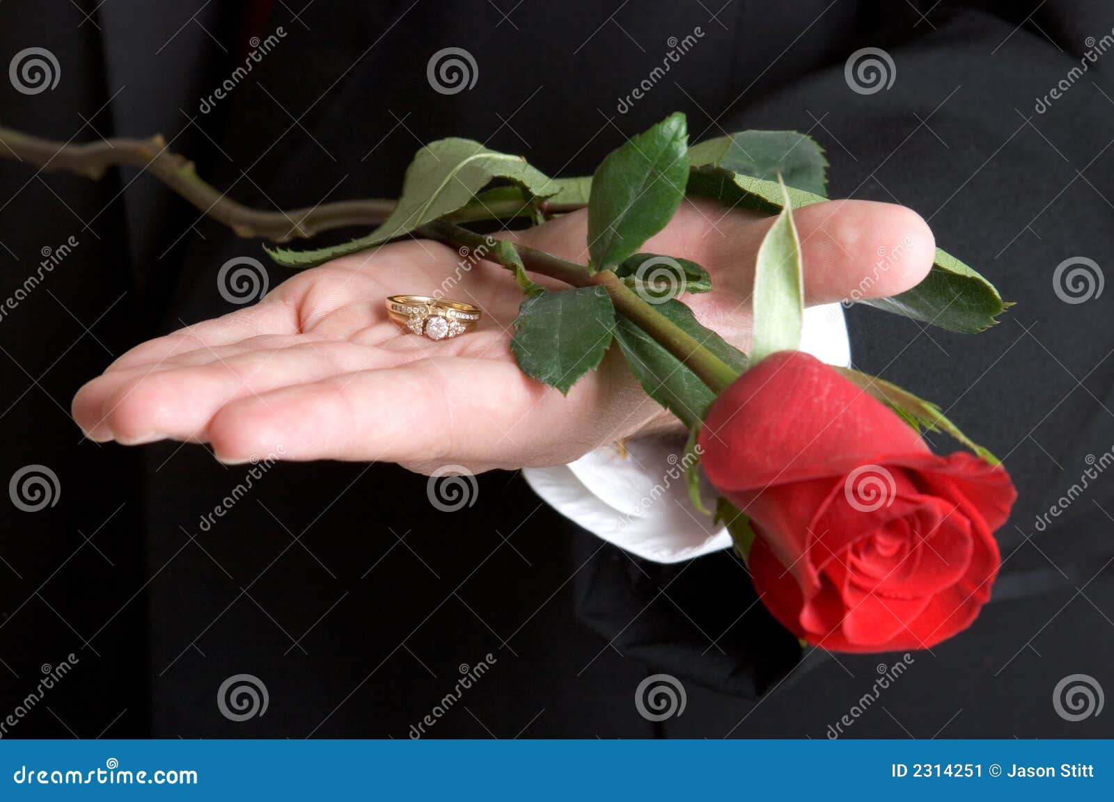 Ring and Rose stock image. Image of engagement, hands - 2314251