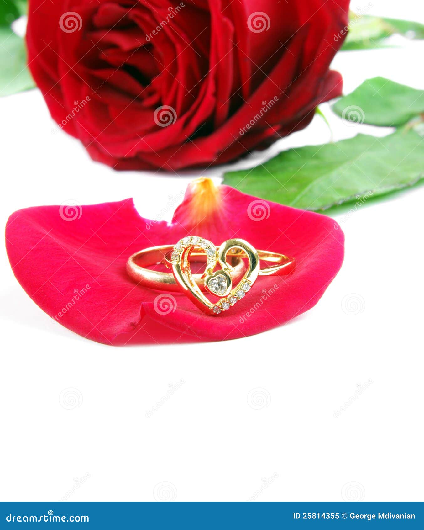 Ring with rose stock image. Image of marry, gold, holiday - 25814355