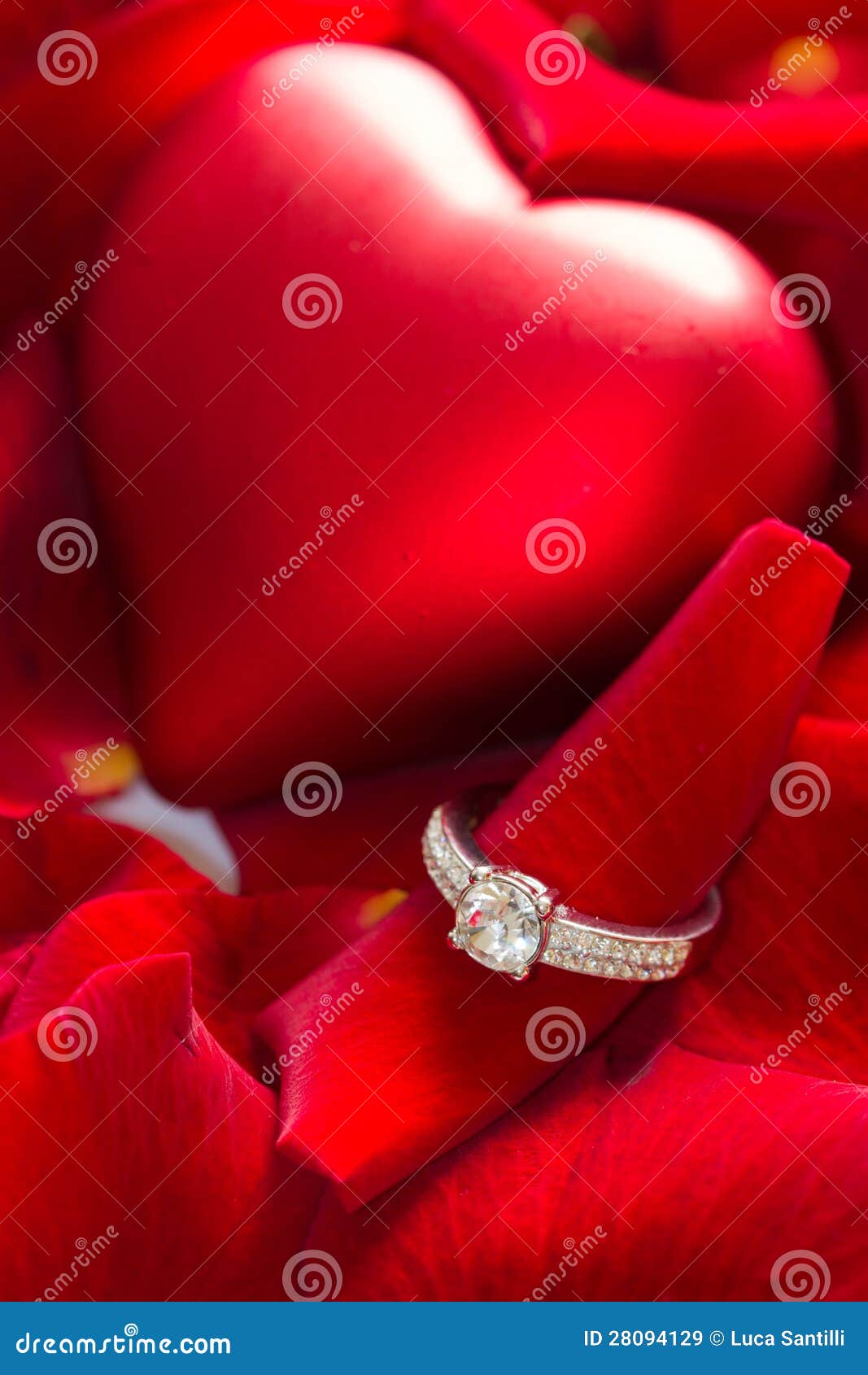 Ring and rose stock image. Image of holiday, bouquet - 28094129