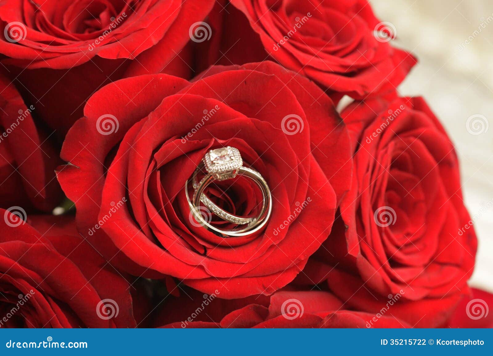 Ring in Rose stock photo. Image of ring, diamond, marry - 35215722