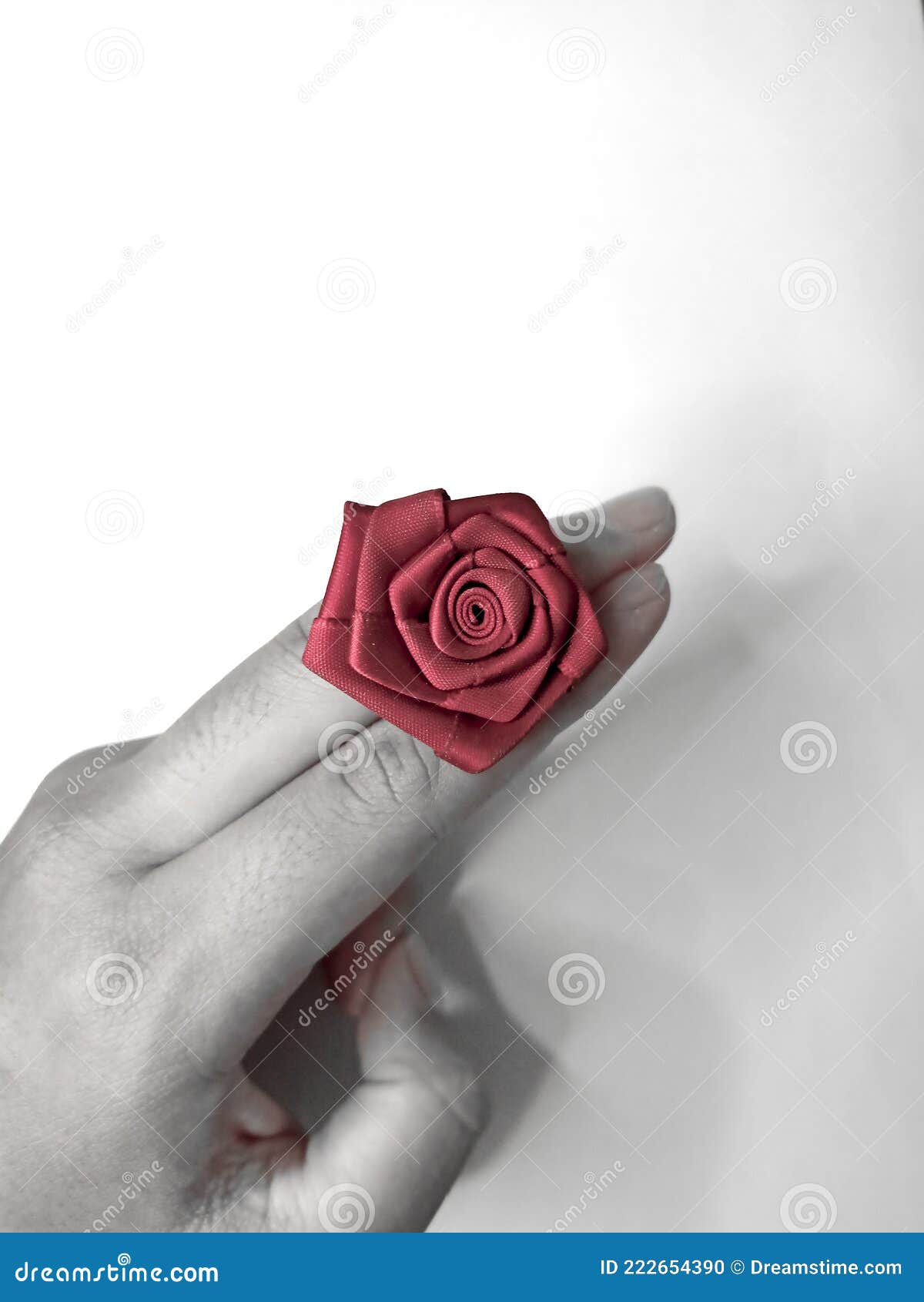 A Ring in the Shape of a Red Rose Stock Photo - Image of organ ...