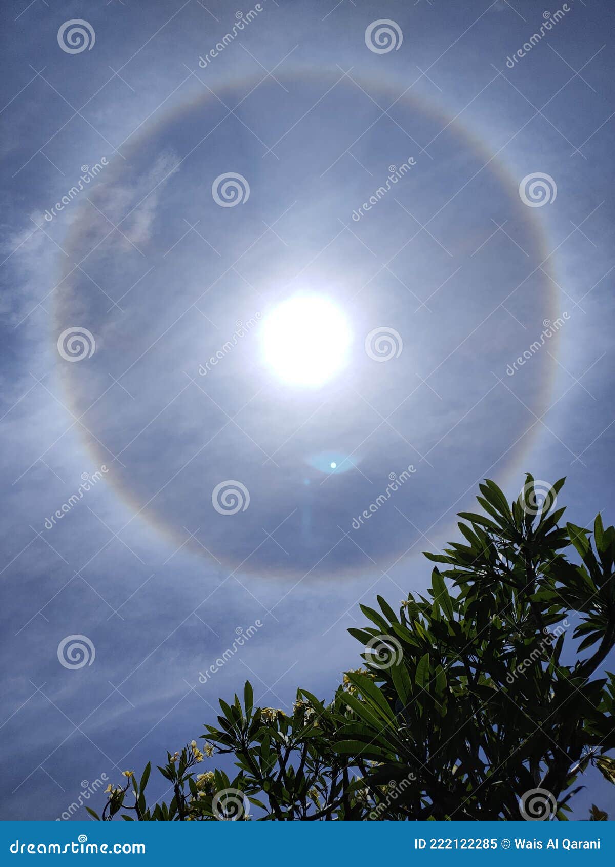 Ring of Sun Shine and Green Tree Stock Image - Image of ring, green ...