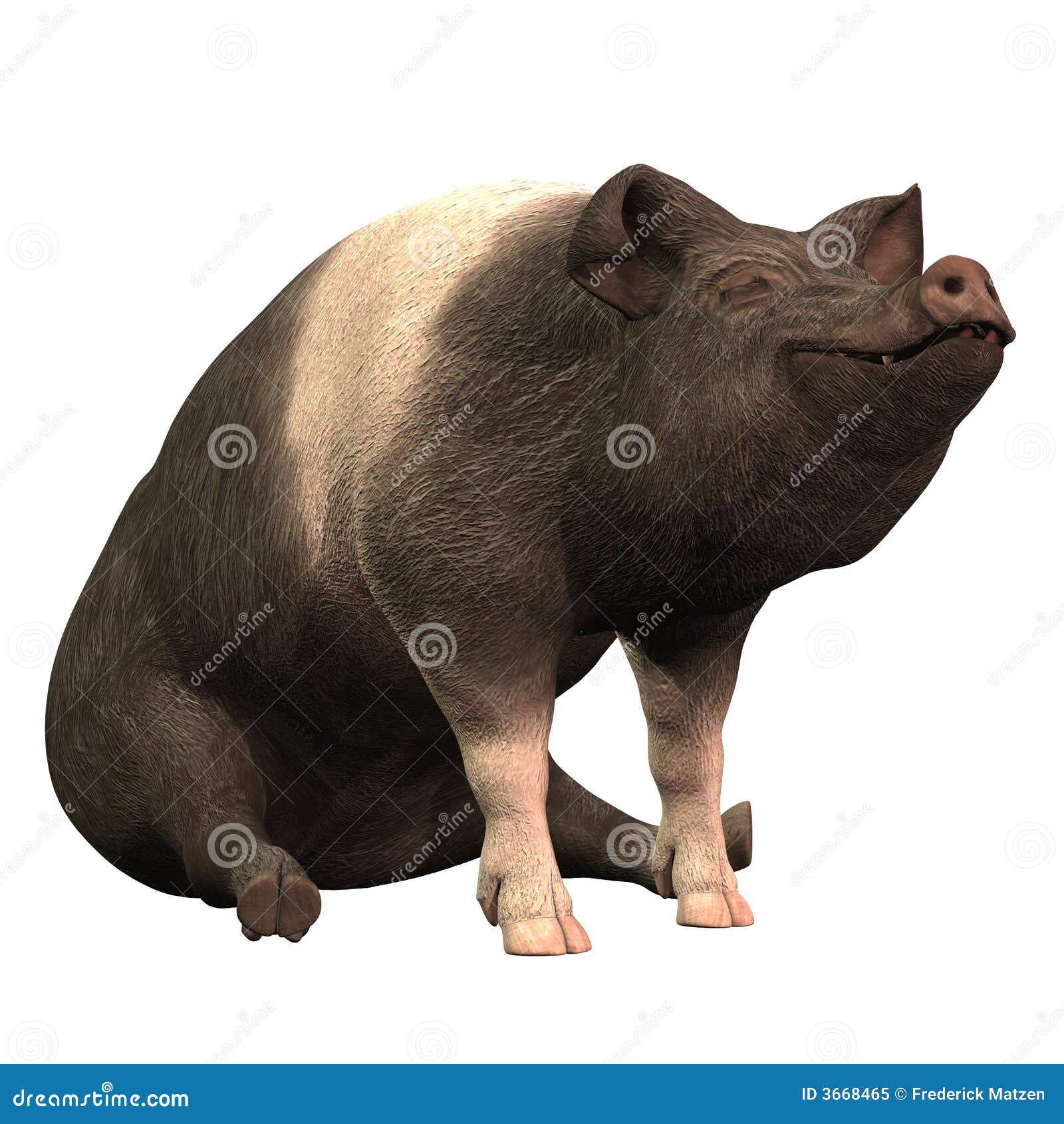 Ringed Piggie - 02 Royalty-Free Stock Photography | CartoonDealer.com ...