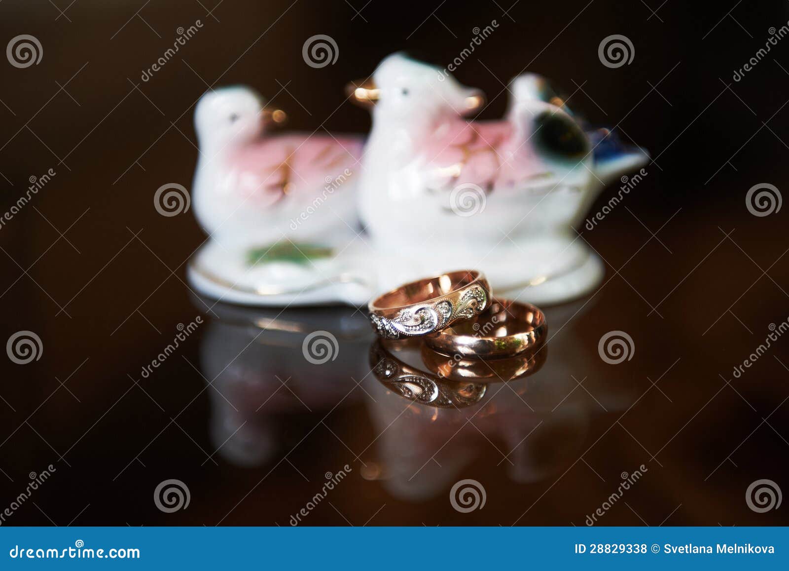Rings and birds stock photo. Image of event, celebration - 28829338