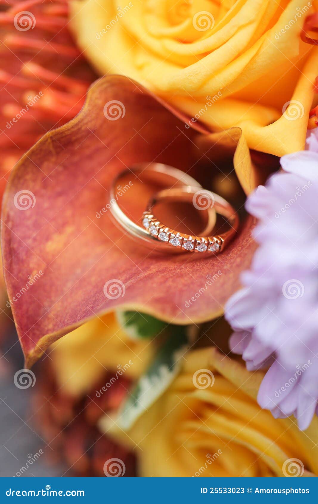 Rings on flower background stock image. Image of roses - 25533023