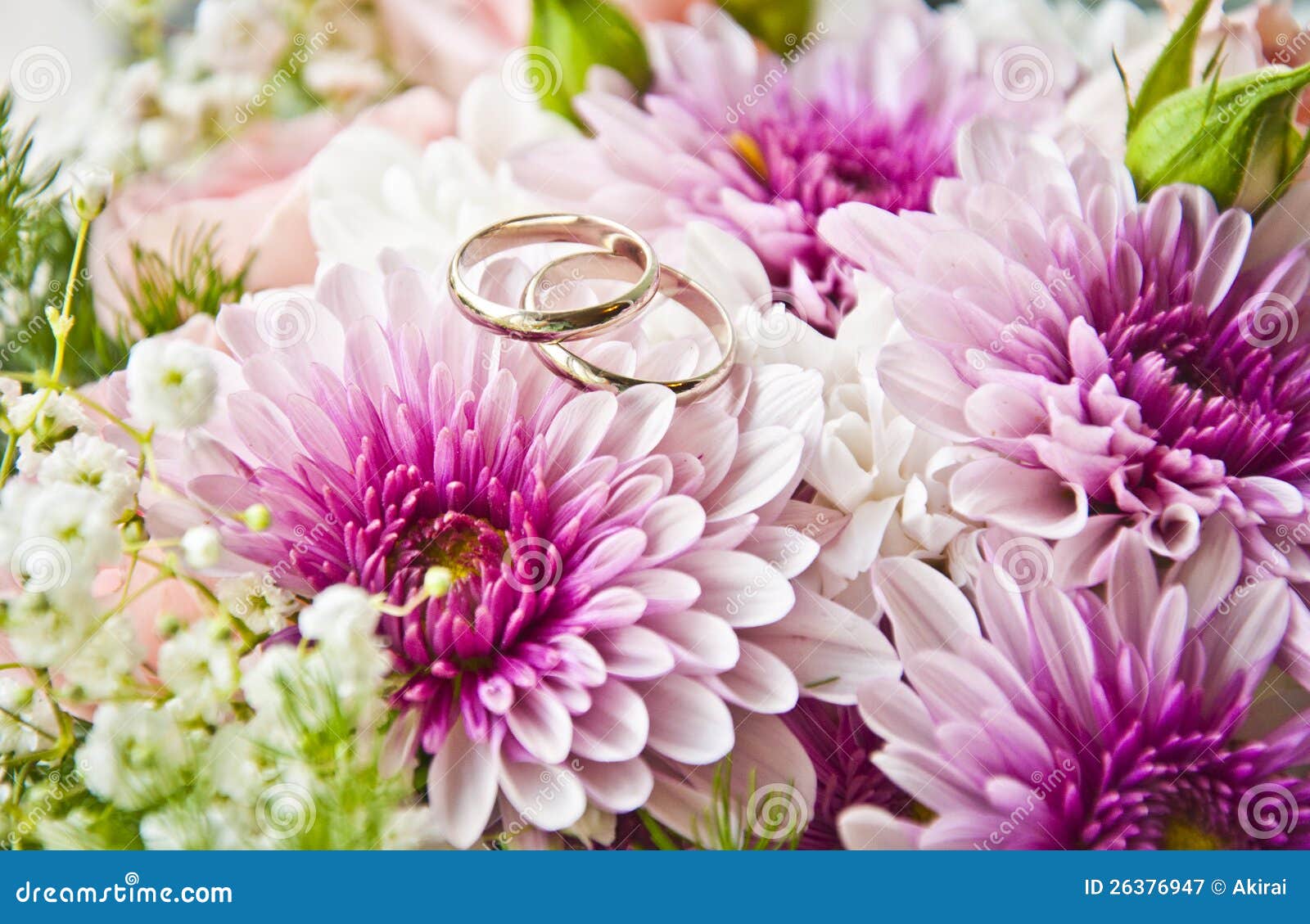 Rings on a flowers stock image. Image of flowers, wedding - 26376947