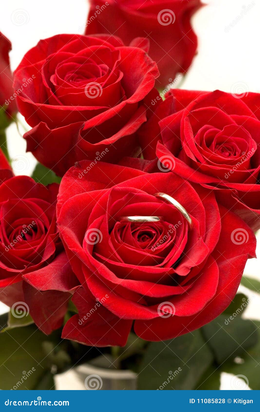Rings inside of Red Rose stock photo. Image of marriage - 11085828