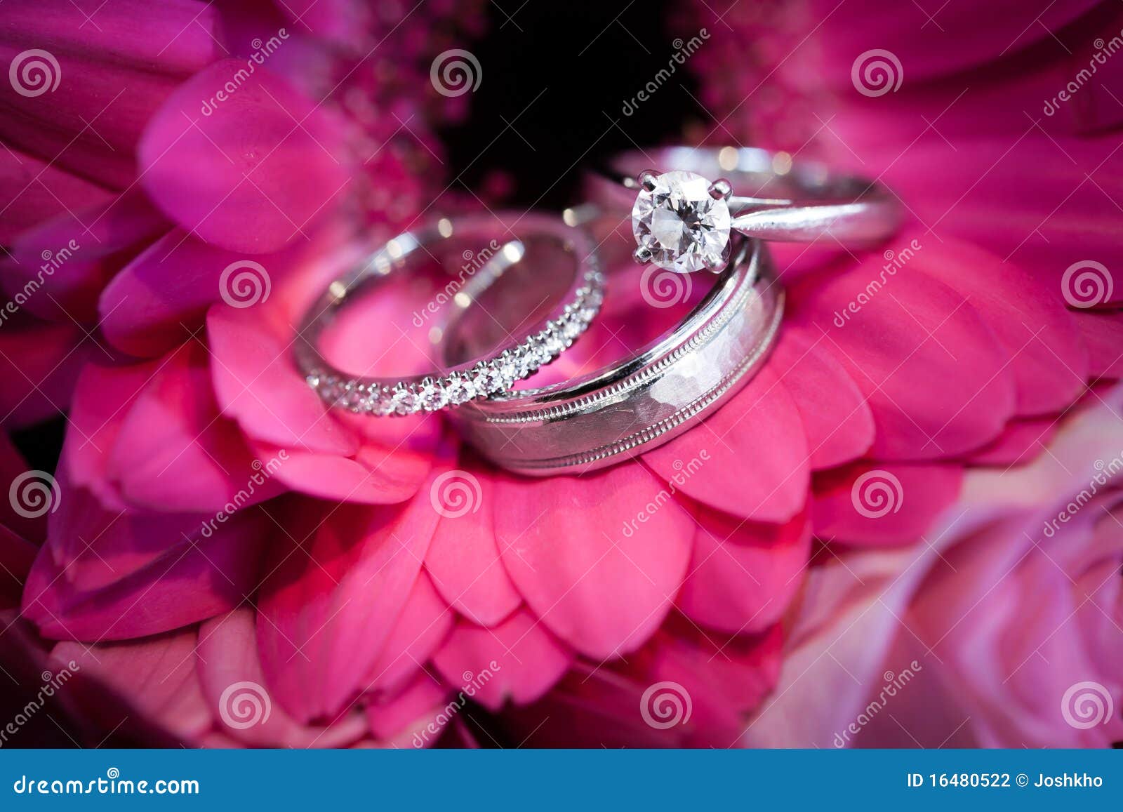 Rings on purple flower stock photo. Image of happiness - 16480522