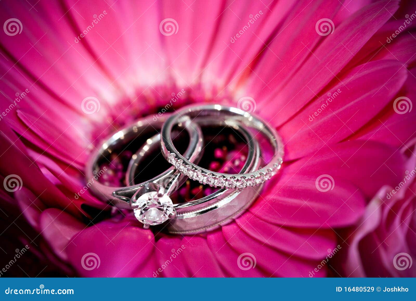 Rings on purple flower stock image. Image of ceremony - 16480529