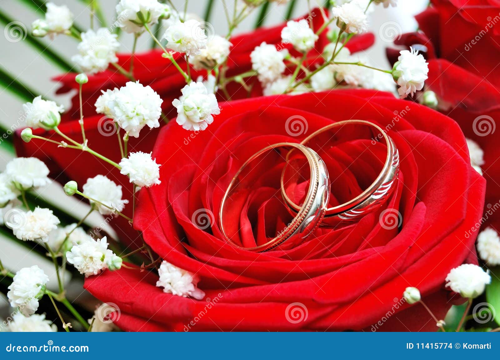 Rings on red rose stock photo. Image of family, married - 11415774