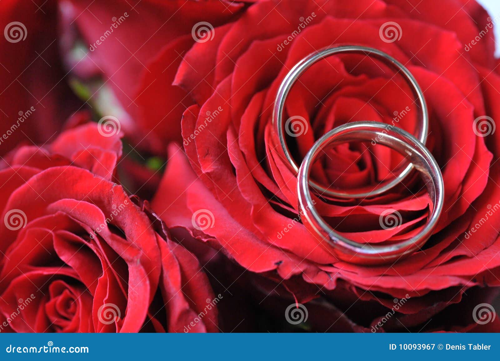 Rings and red roses stock image. Image of flower, beautiful - 10093967