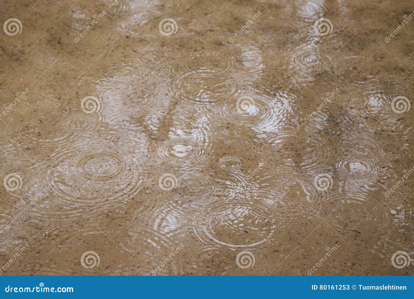 Rings of Ripples on a Puddle Stock Image - Image of ring, abstract ...