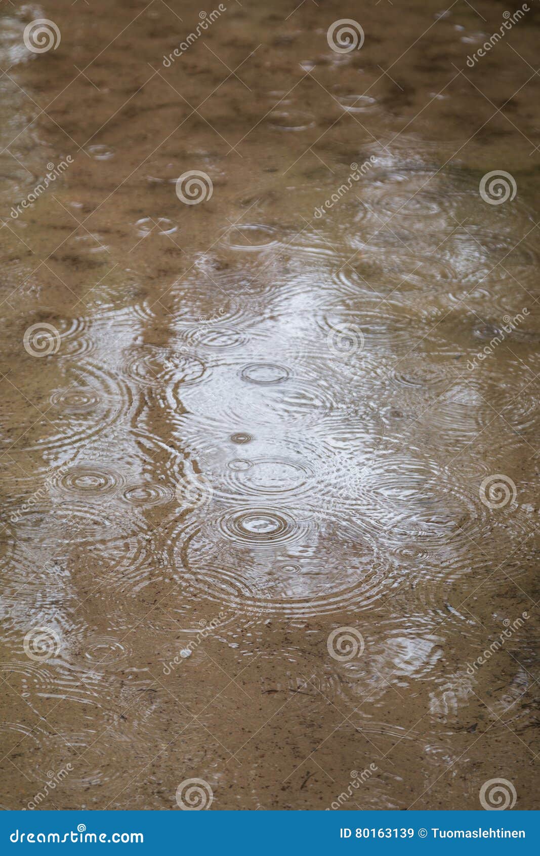 Rings of Ripples on a Puddle Stock Image - Image of puddle, waterdrop ...