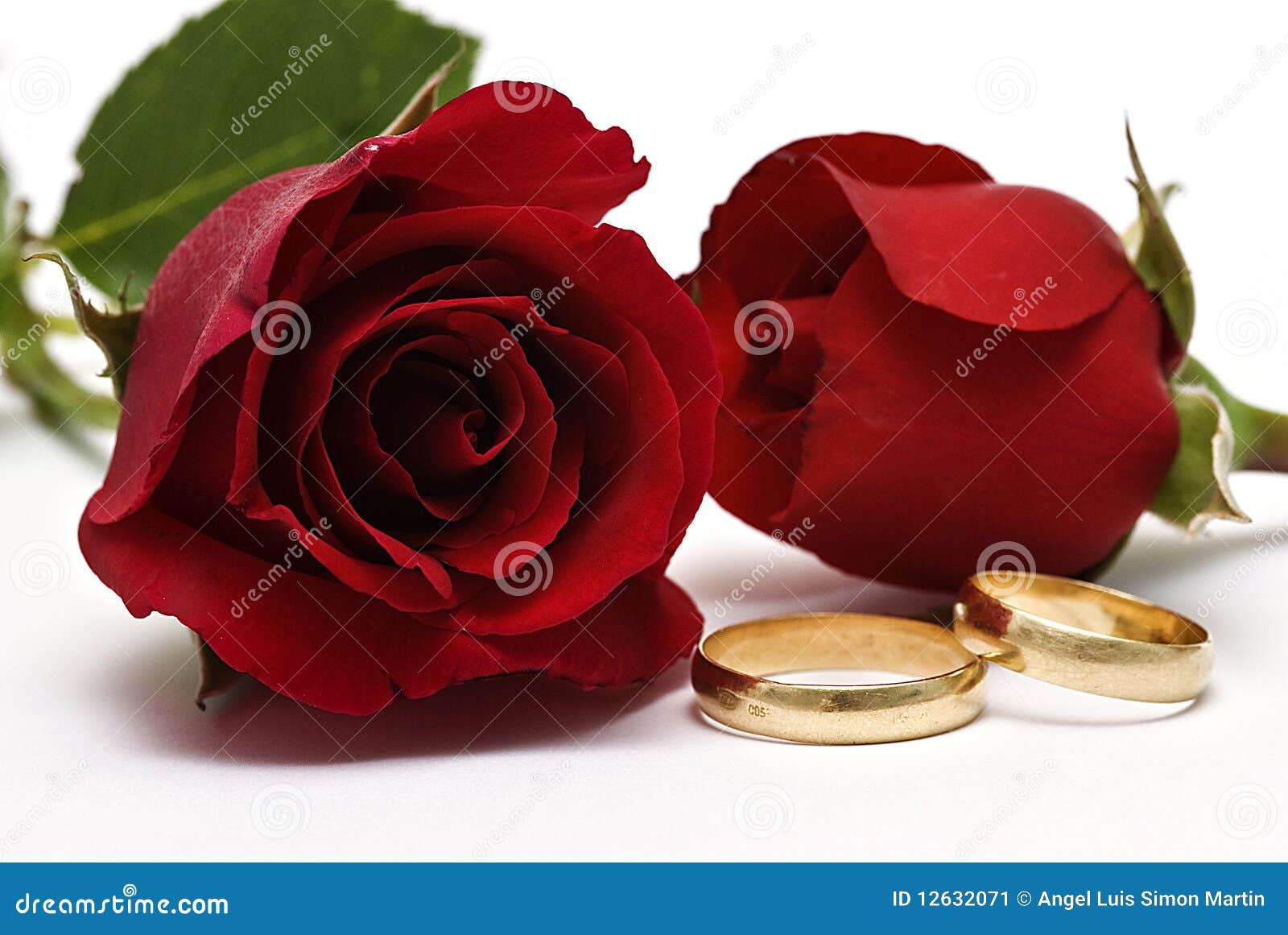 Rings and roses. stock image. Image of church, ring, dating - 12632071