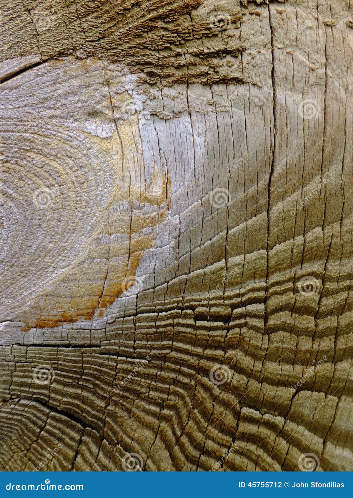 Rings and Striations stock photo. Image of striations - 45755712