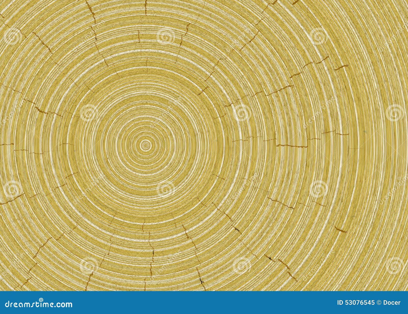 Rings of Tree Cut Wood Texture Backgrounds Stock Image - Image of ...
