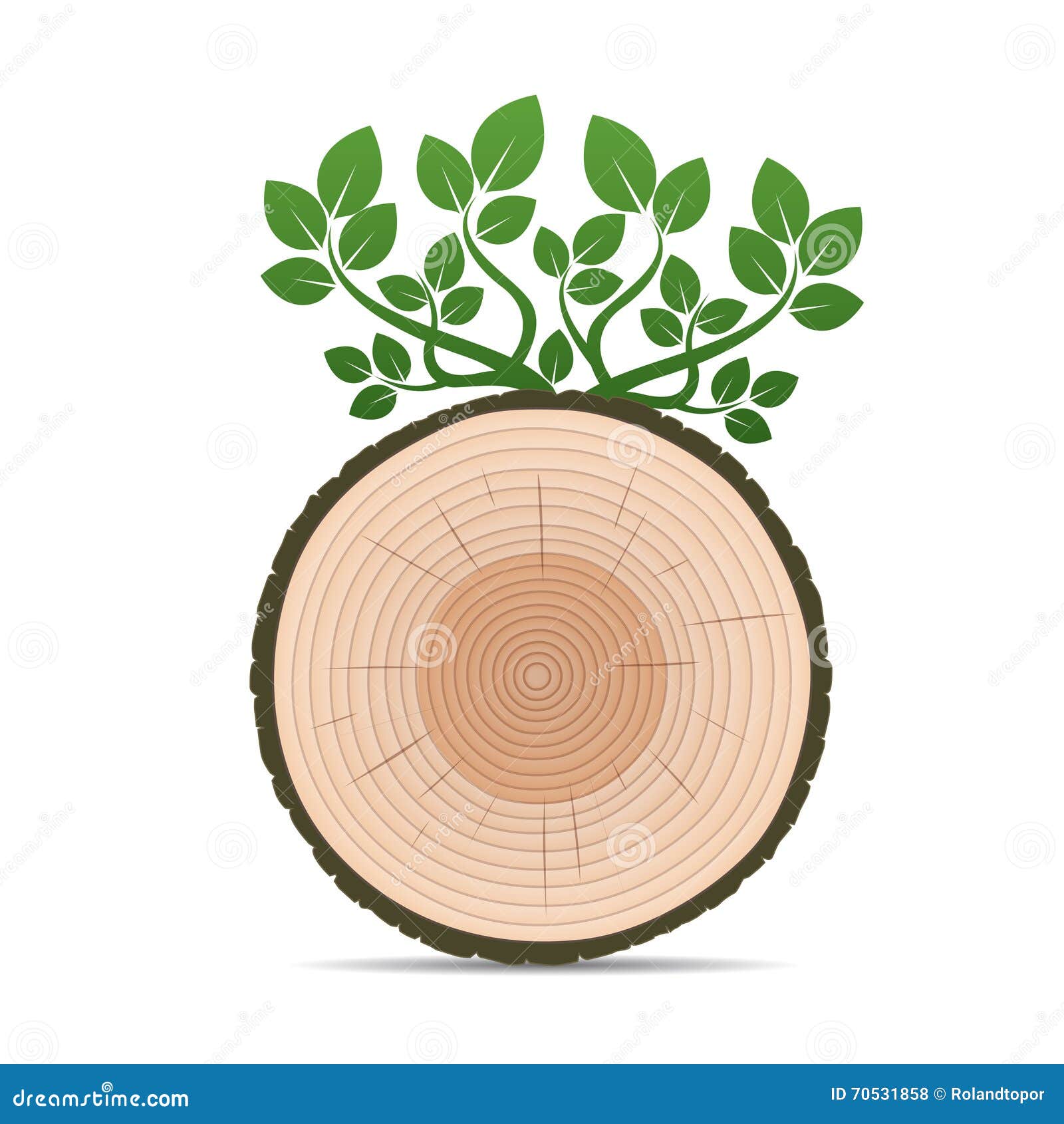 Rings Tree Stock Illustrations – 2,302 Rings Tree Stock Illustrations ...