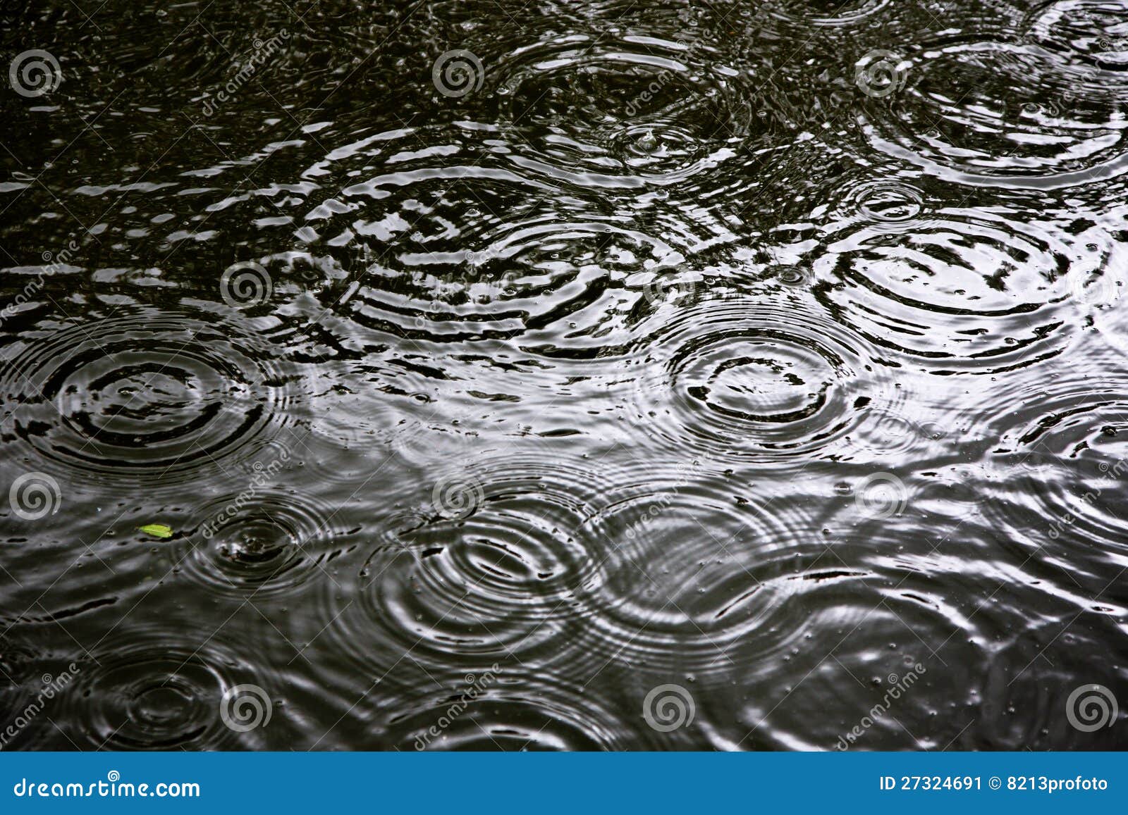Rings of a Water Ripple, Ripple on Water Stock Image - Image of light ...
