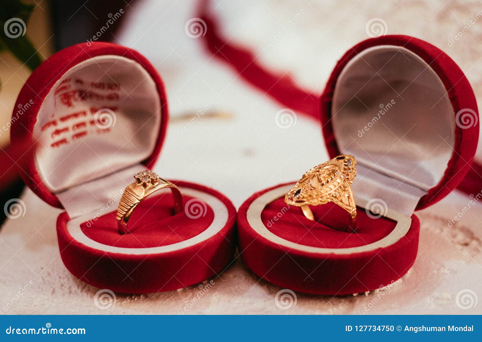 The Rings stock photo. Image of rings, birds, fashion - 127734750