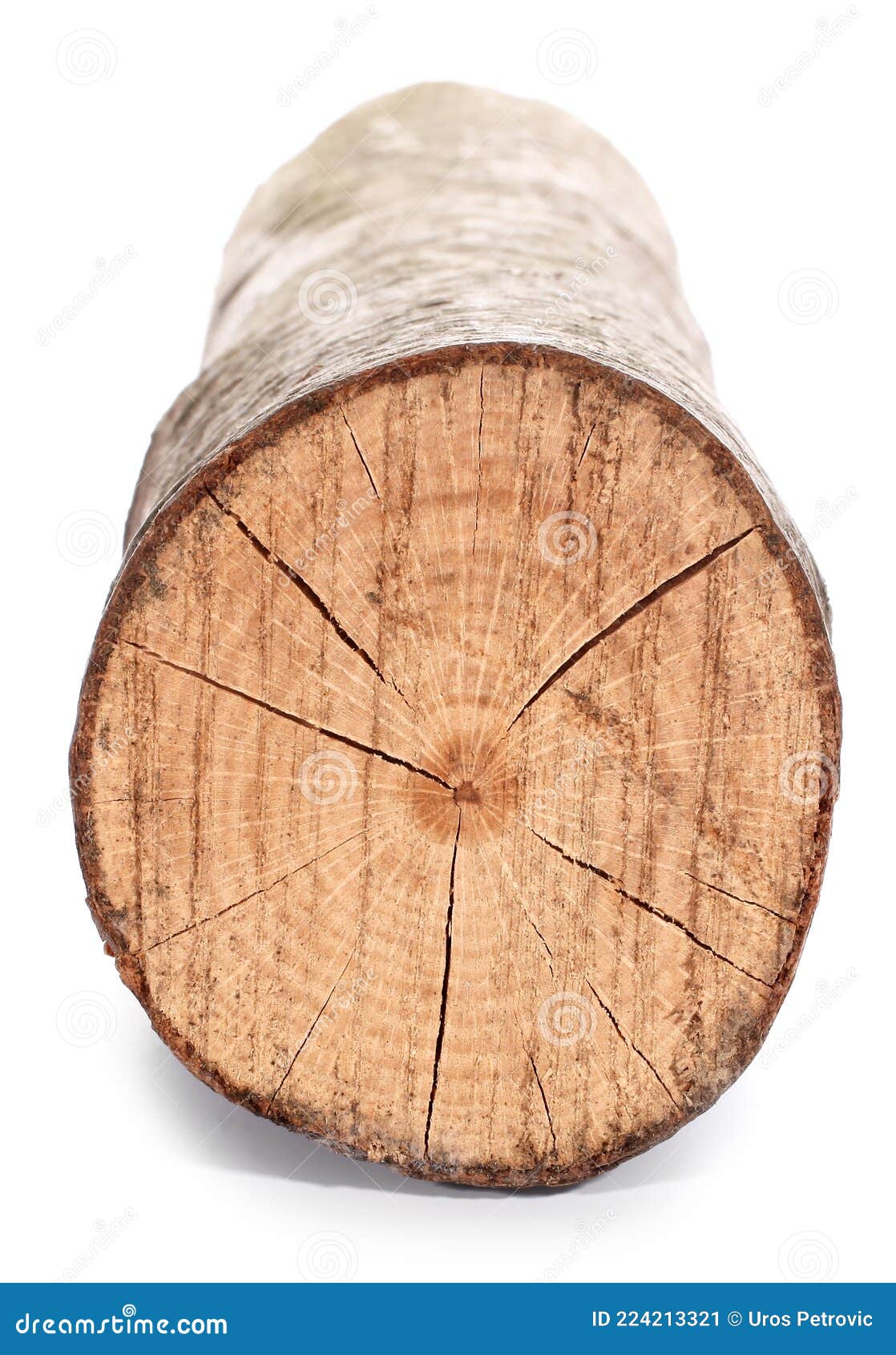 Rings on wooden log stock image. Image of tree, frame - 224213321