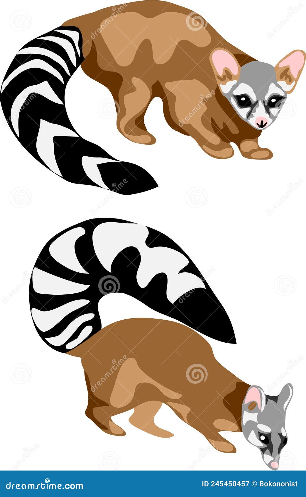 Ringtail Cartoons, Illustrations & Vector Stock Images - 425 Pictures ...
