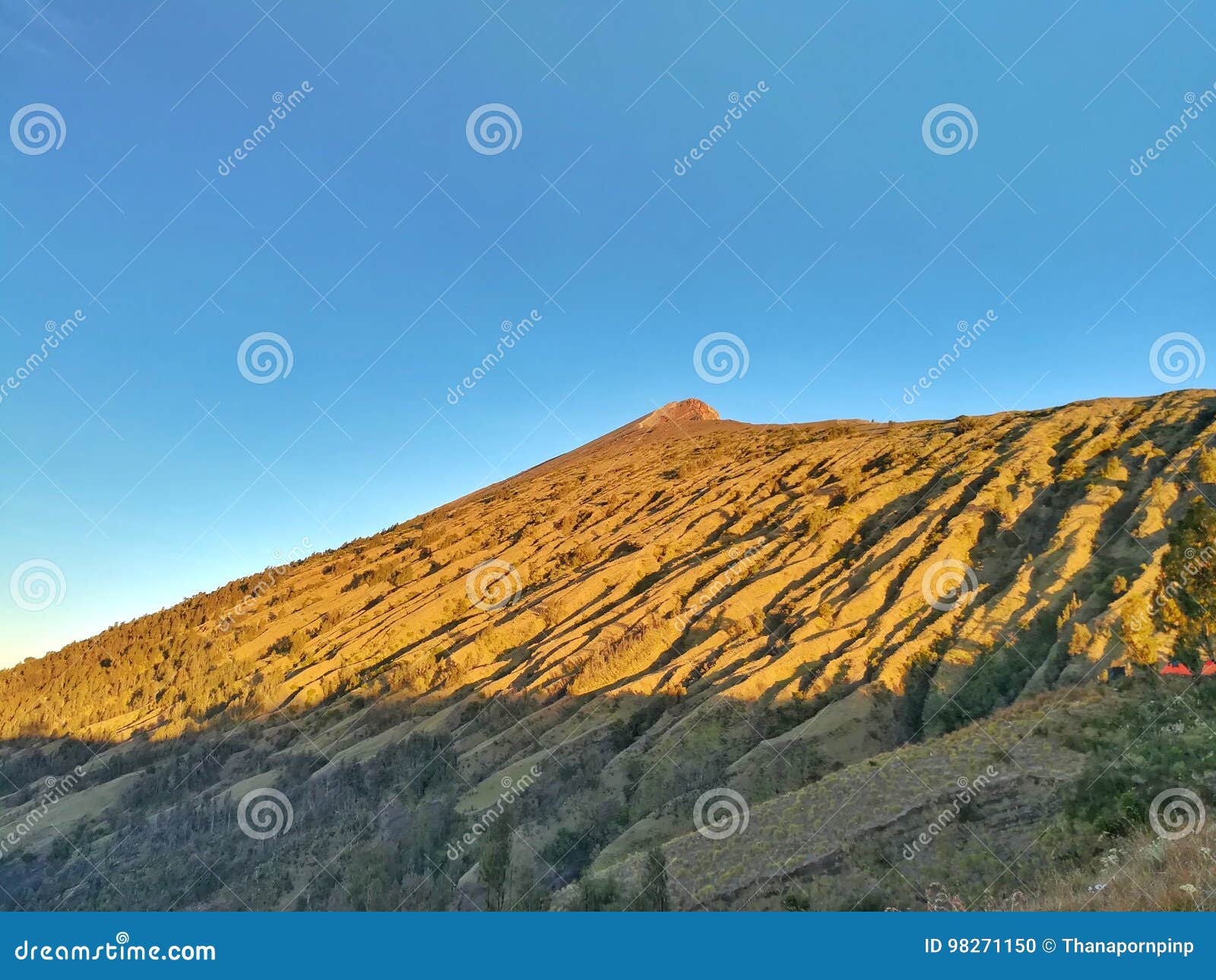 Rinjani mountain Summit. stock photo. Image of national - 98271150