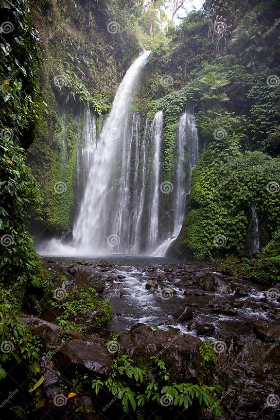 Rinjani Waterfall stock image. Image of trees, mount - 22433257