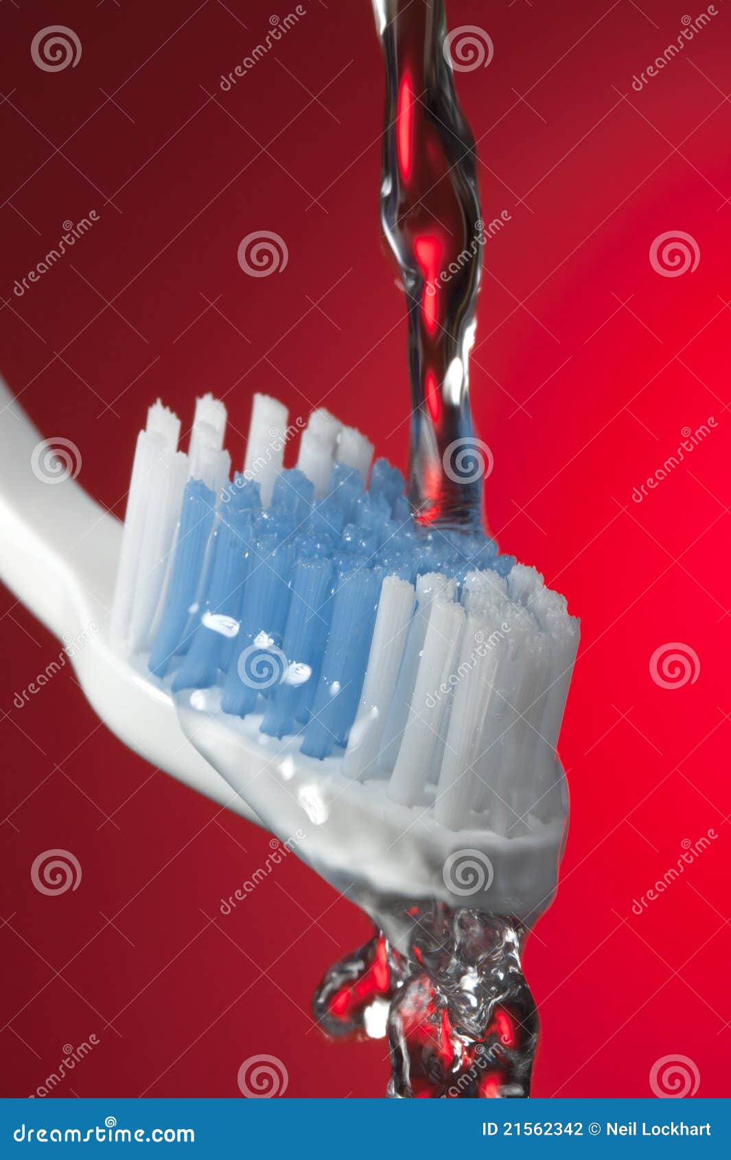 Rinse Tooth Brush stock photo. Image of drops, healthy - 21562342
