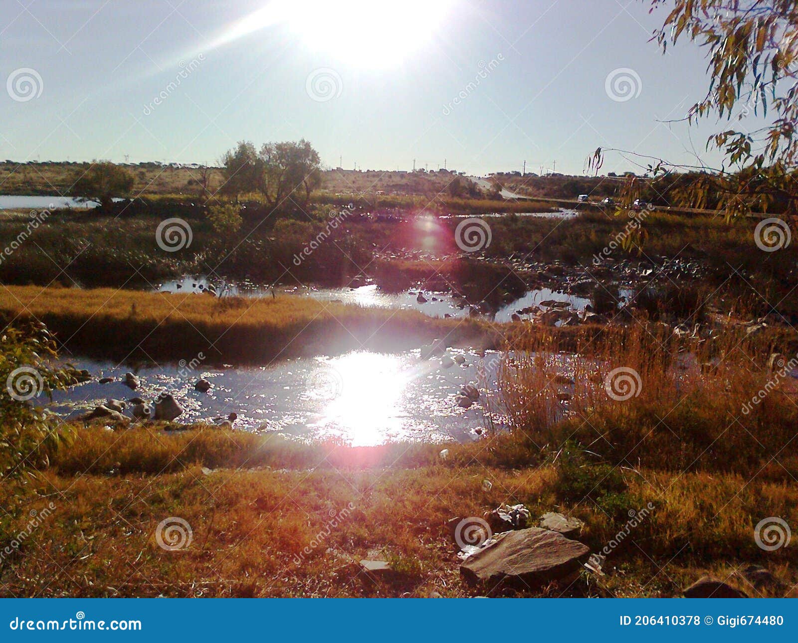 Rio ao sol da tarde foto de stock. Imagem de tarde, lago - 206410378