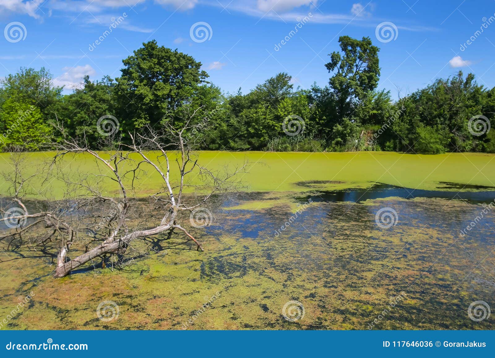 Rio Bosut em Vinkovci foto de stock. Imagem de freshwater - 117646036