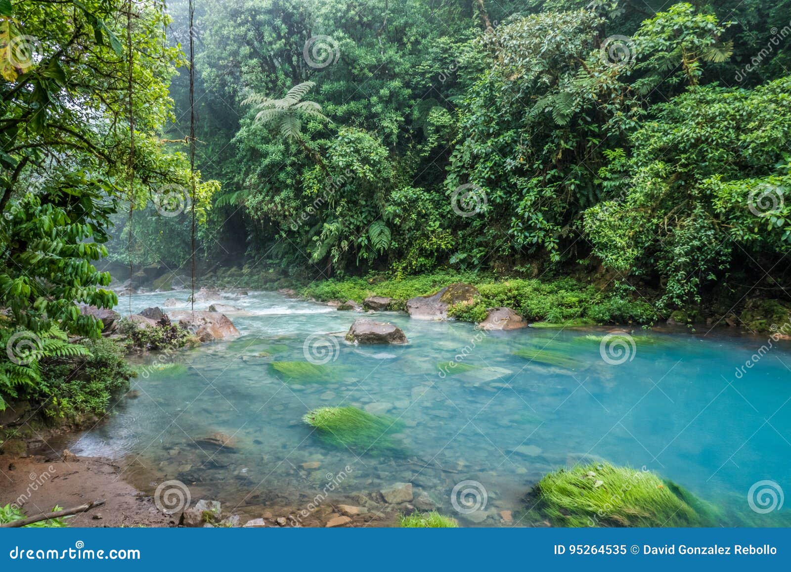 Rio Celeste Blue Acid Water Stock Image - Image of blue, cloud: 95264535
