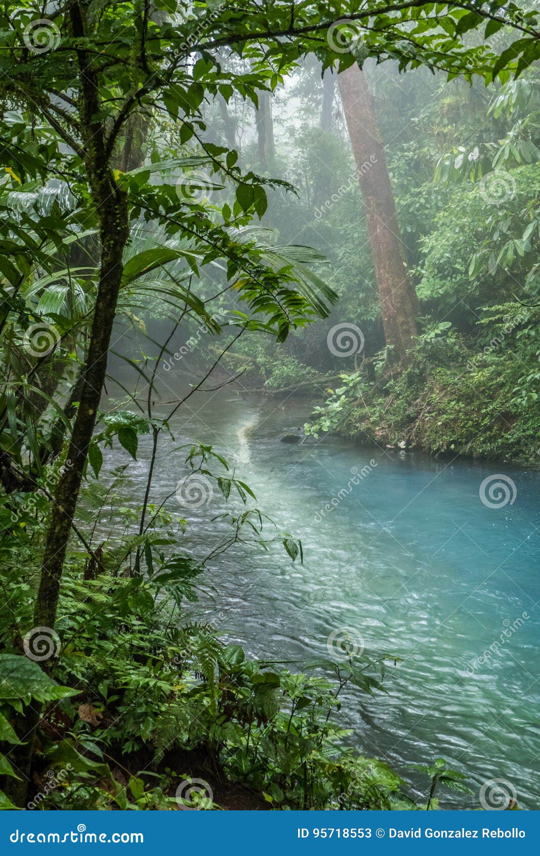 Rio Celeste Blue Acid Water, Costa Rica Stock Image - Image of blue ...