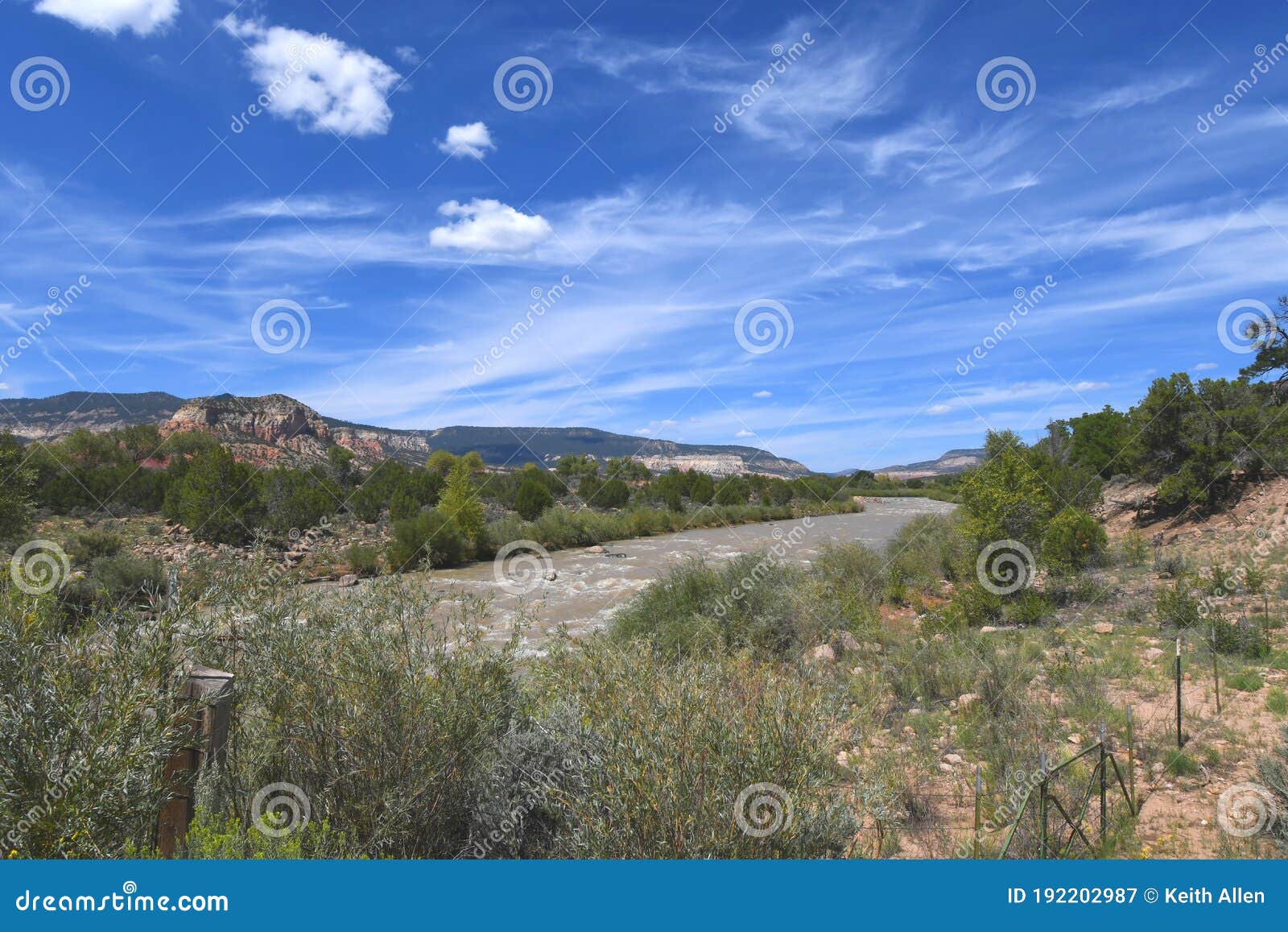 The Rio Chama River in the Ojitos Canyon, New Mexico Stock Image ...