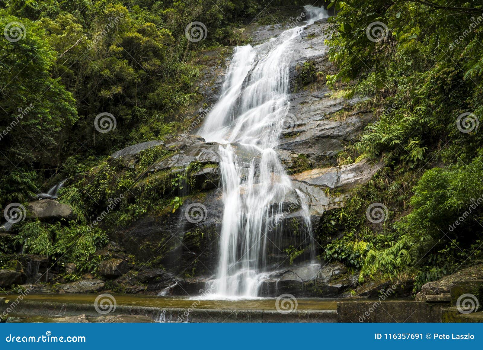 Rio De Janeiro Waterfall En El Bosque De Tijuca Imagen de archivo ...