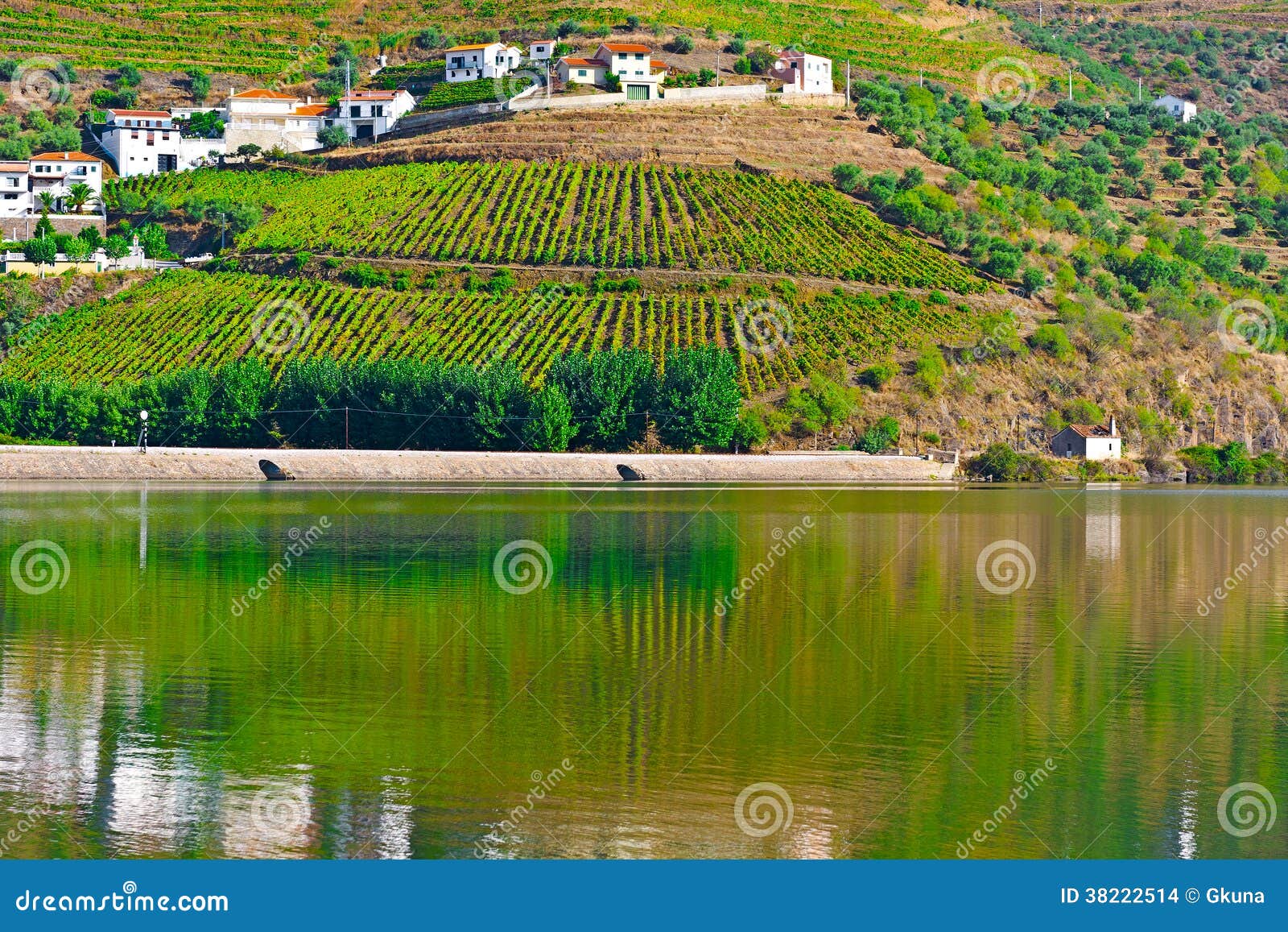 Rio Douro foto de stock. Imagem de fileira, campo, douro - 38222514