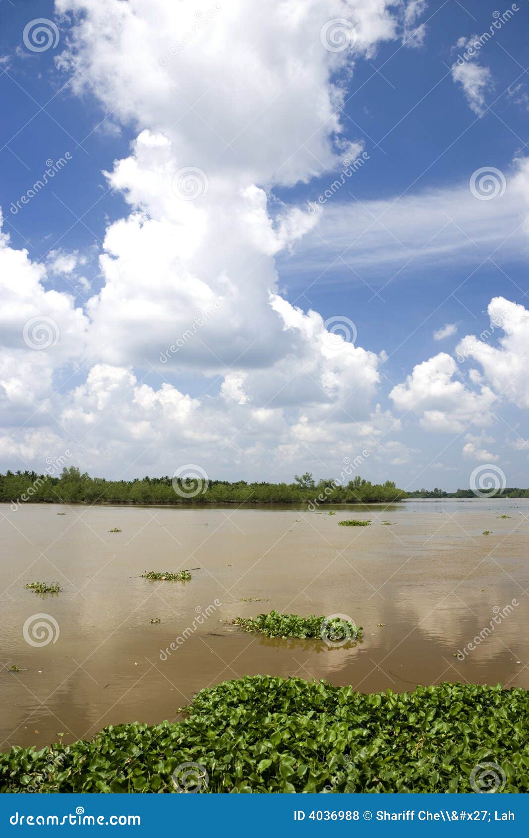 Rio enlameado inundado foto de stock. Imagem de largamente - 4036988