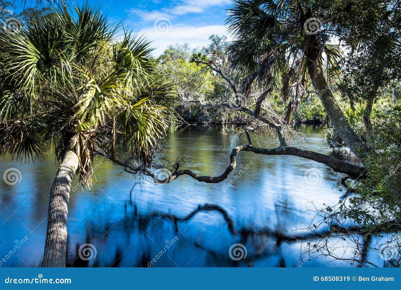 Rio Florida de Myakka imagem de stock. Imagem de velho - 68508319