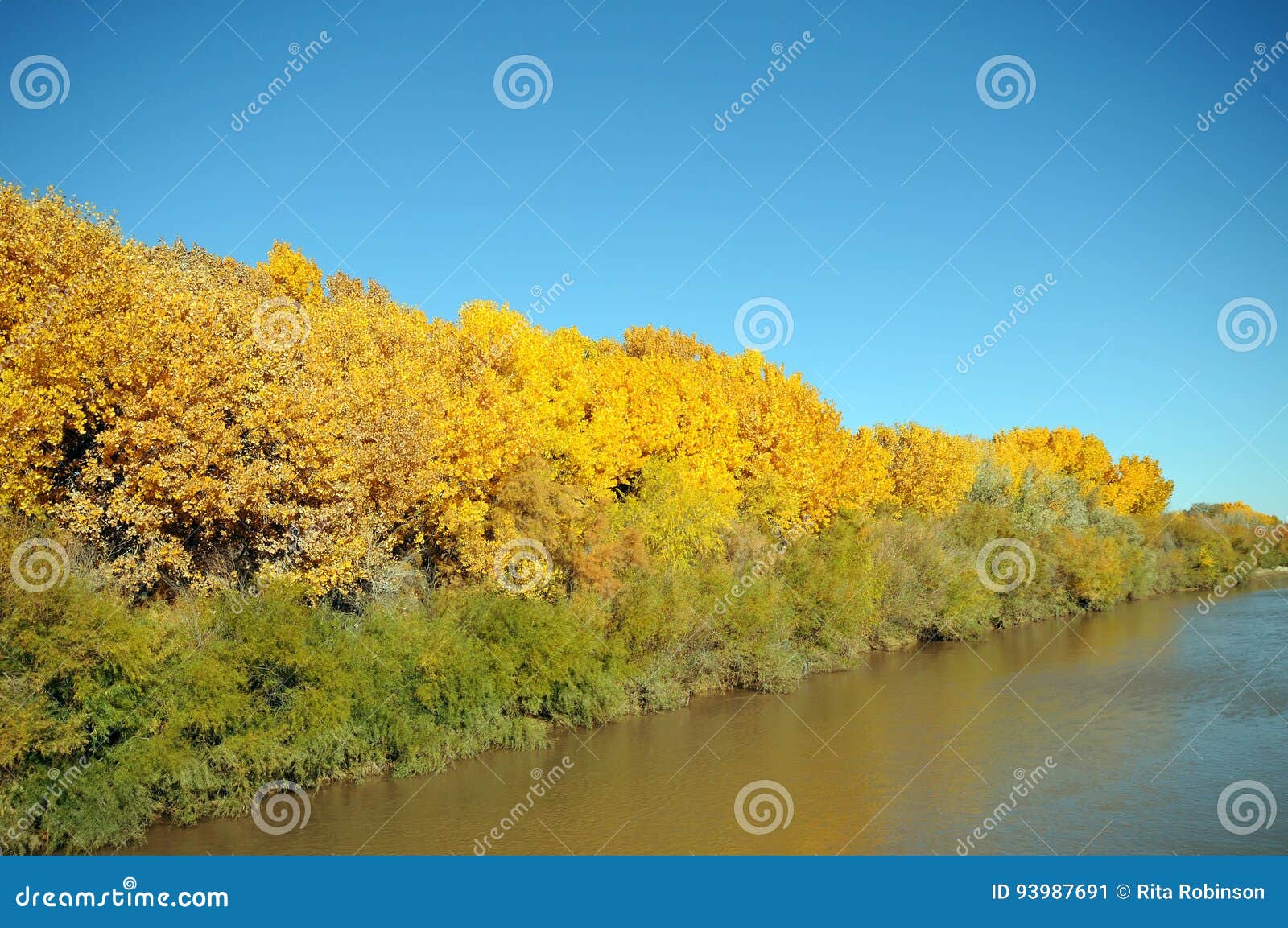 Rio Grande Rift in Fall stock image. Image of stream - 93987691