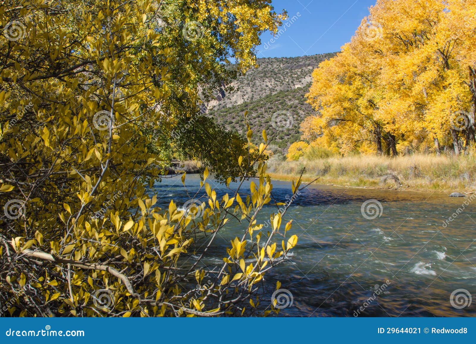 Rio Grande River stock image. Image of tourism, mexico - 29644021