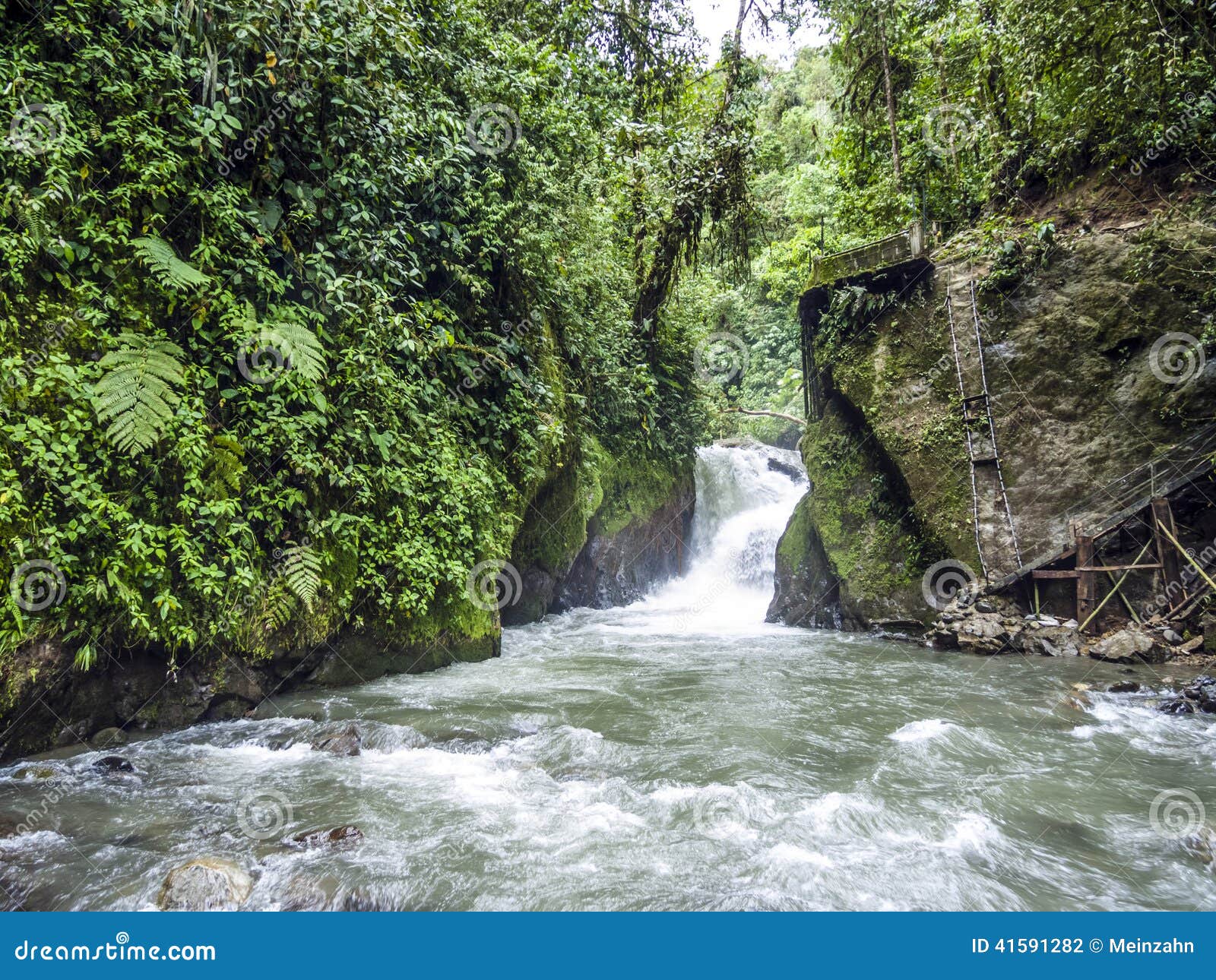 Rio Mindo, Western Ecuador, River Stock Photo - Image of cloudforest ...
