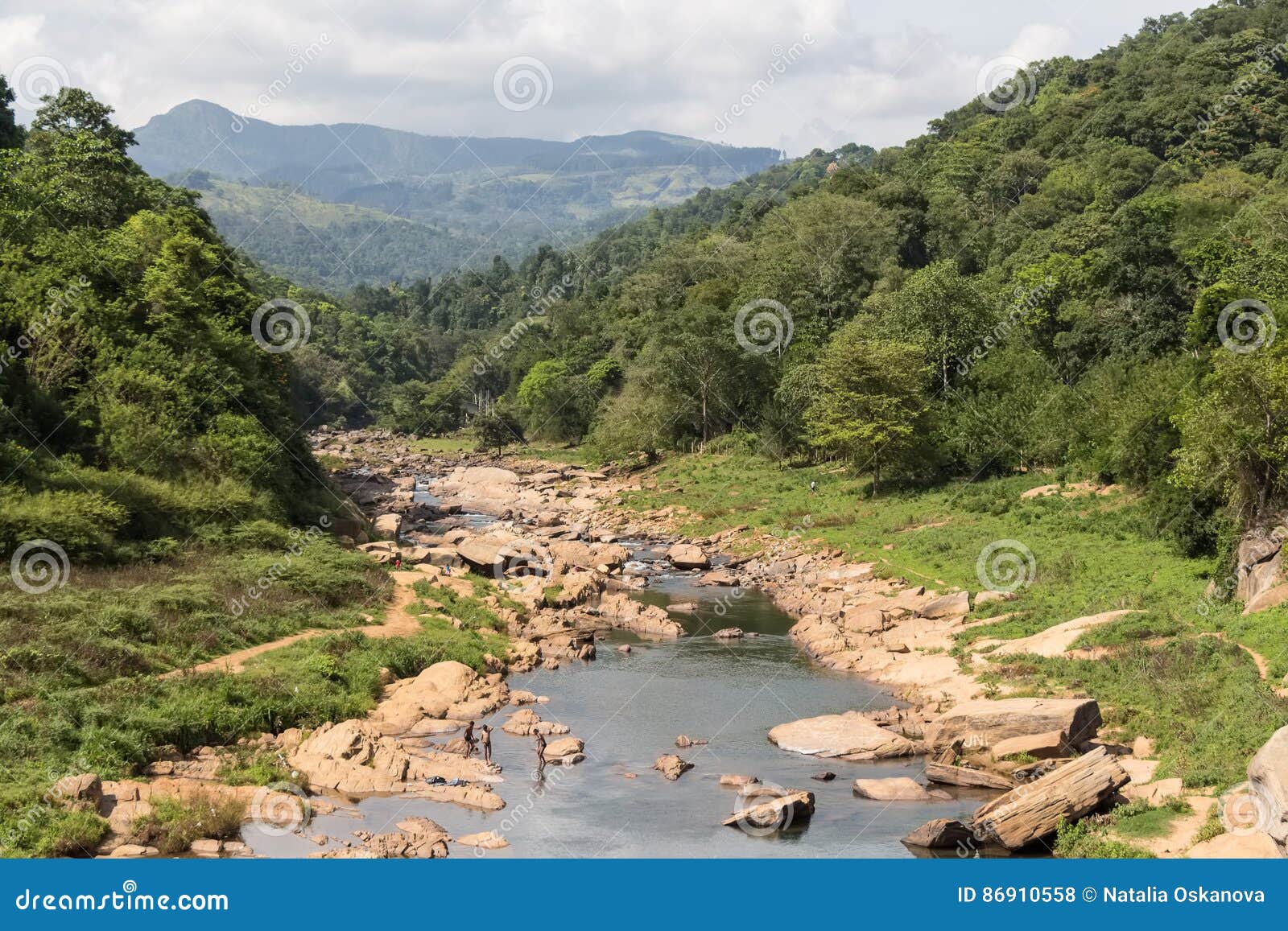 Rio na selva de Sri Lanka foto de stock. Imagem de paisagem - 86910558